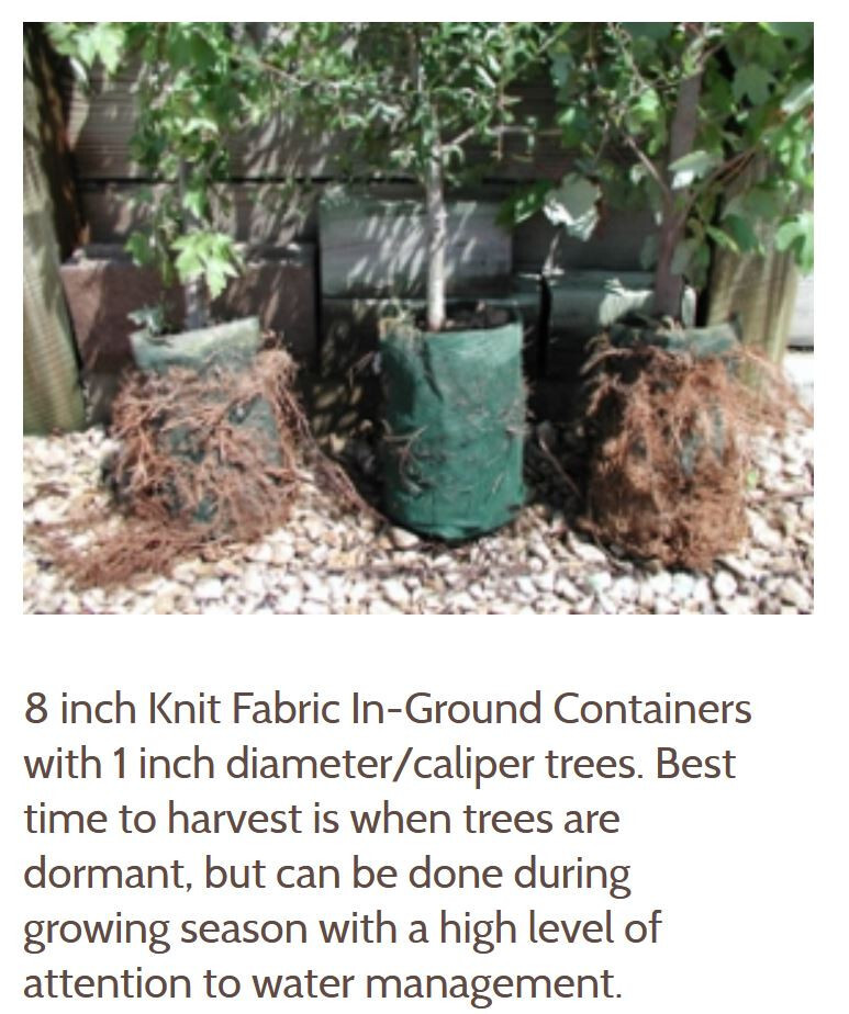 (20) RootMaker - 3 Qrt - Knit Fabric 5" x12" Tree Plant Grow Bag Pot Container | eBay