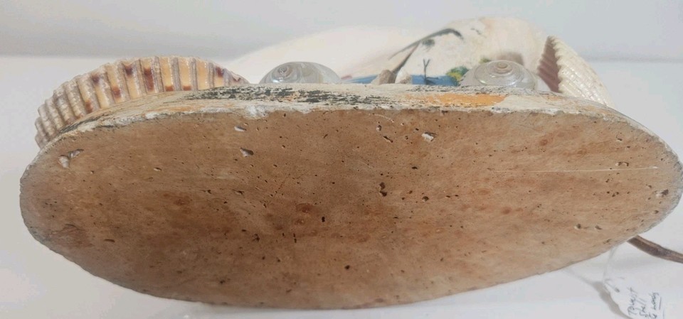 VTG MCM 50's Kitsch Sea Shell TV Lamp Conch Coral Light COASTAL Tiki ...