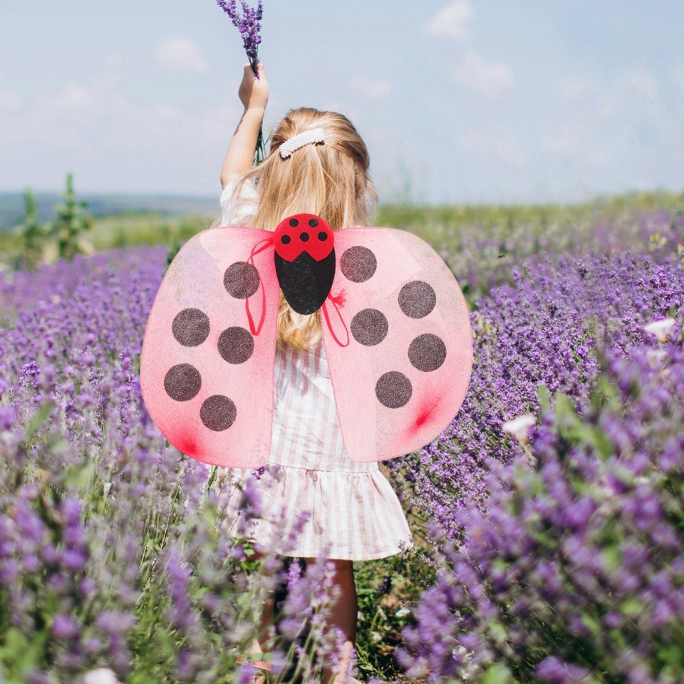 2pcs Girls Ladybug Wings Dress Up - Ladybug Costume Wing Prop Cosplay ...