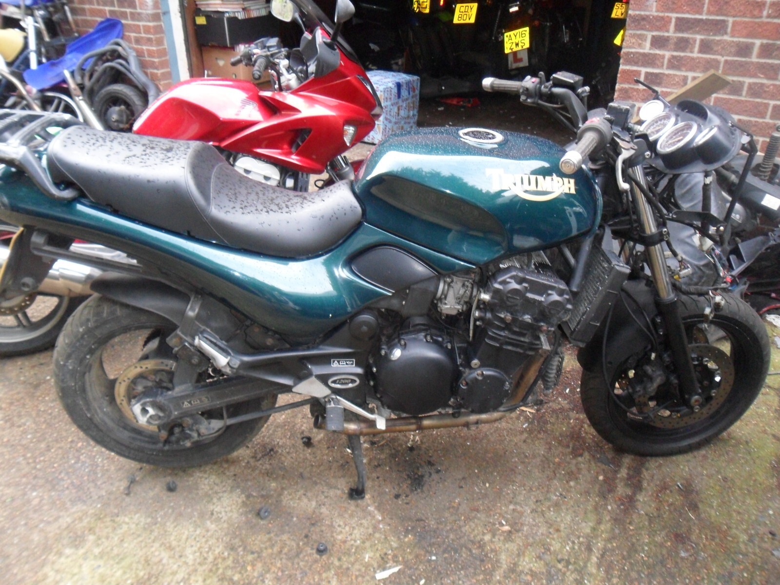 ⭐TRIUMPH TROPHY 1200 900 T312 THROTTLE, CHOKE & SPEEDO CABLES 1996 ON ...