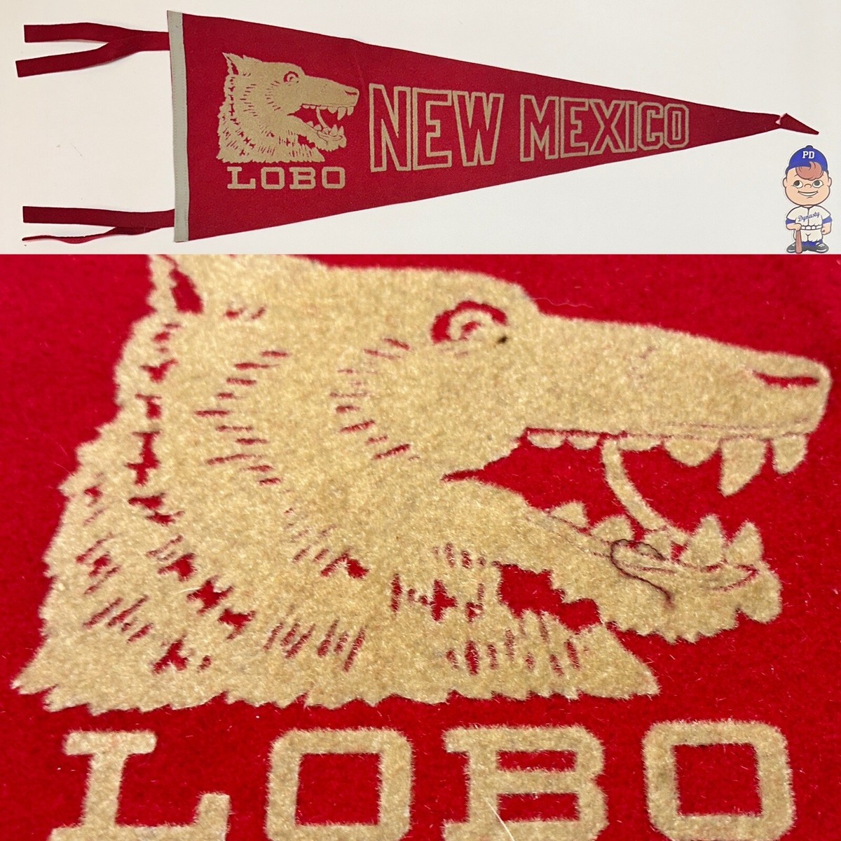 Imágenes De Lobos Lobo Lucy, New Mexico Lobos Mascot.