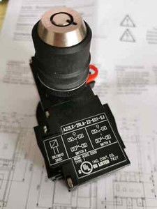 NEW A22LK-2RLA-22-K01-SJ 24VDC Selected switch (By DHL or EMS) | eBay