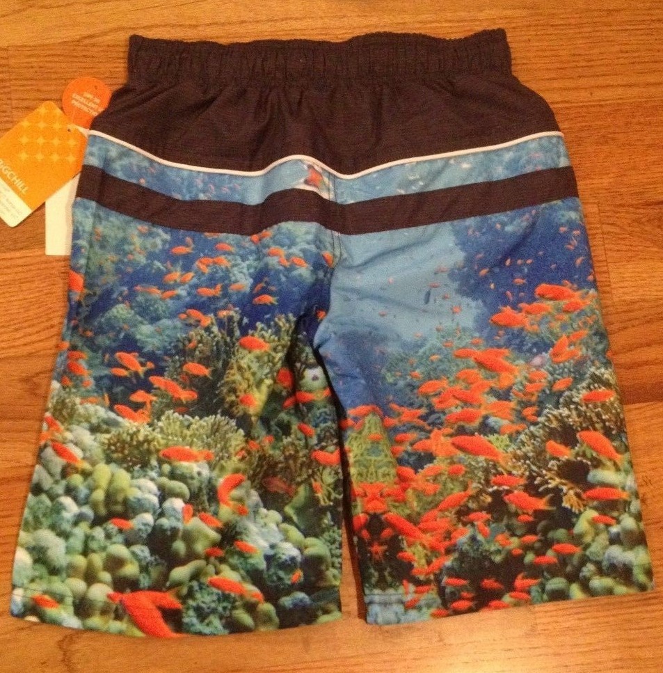 NWT Big Chill Swim Trunks UPF 50 Sun Protection FISH Boys 14/16 14 16 ...
