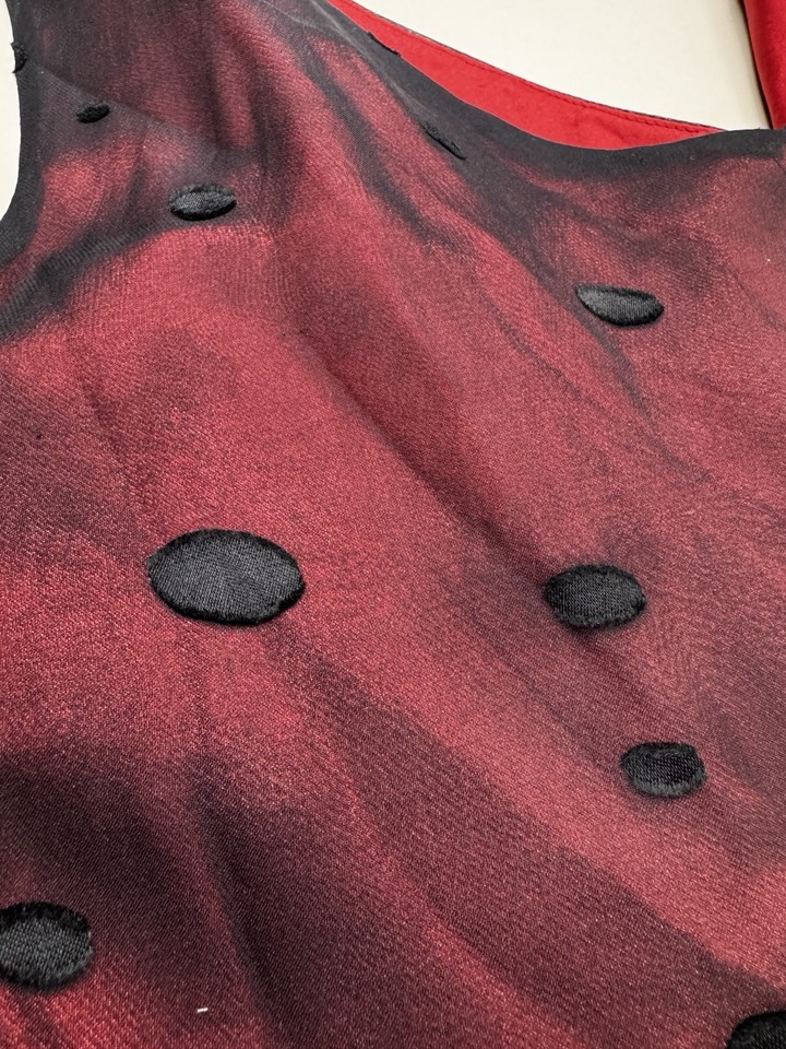 Jonathan Martin Y2K Red Black Red Sheer Slip Dress 6 Whimsygoth Fairy ...