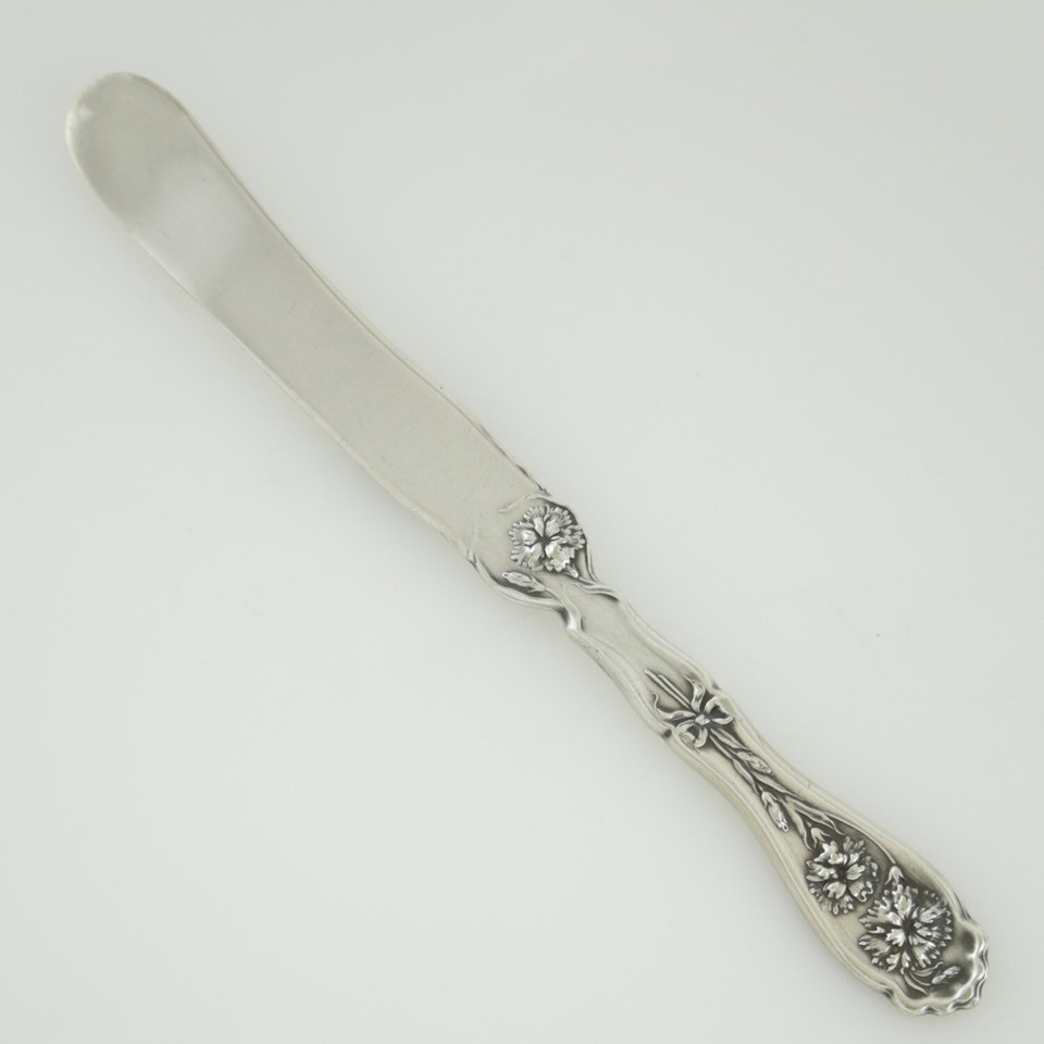 Oneida CARNATION Silverplate 1908 WR Keystone Silverware Flatware ...