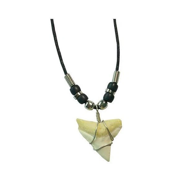 Tiger Shark Tooth Necklace