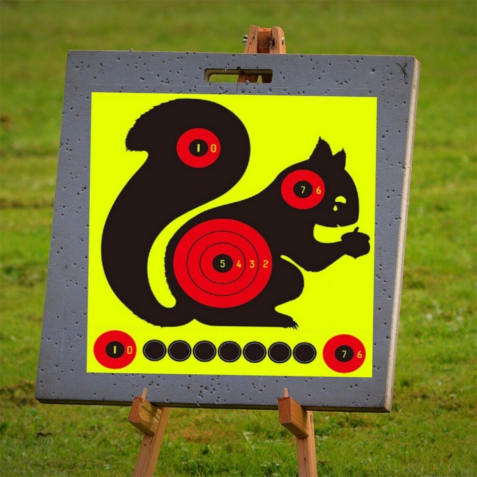 100-250PC 3"/4" Shooting Self Adhesive Targets Splatter Paper Shots ...