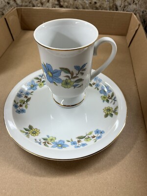 Royal Domino Japan Collection “Blue Garden” Cup and Salad Plate 7.5" | eBay
