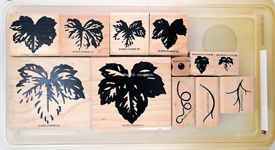 Stampin' Up! Definitely Decorative Fine Vine Stamp Set, Set of 12 #14a ...
