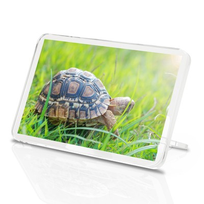 Cute Tortoise Classic Fridge Magnet - Turtle Wildlife Nature Reptilia ...