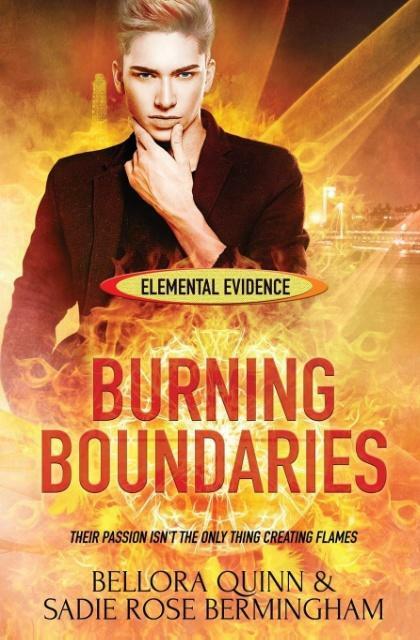 Burning Boundaries von Sadie Rose Bermingham (2017, Taschenbuch) online kaufen | eBay.de