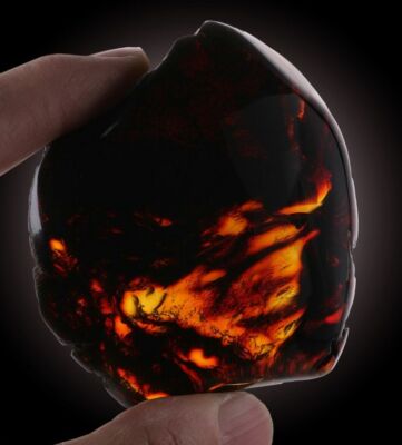 Uniquely Large Mysterious Looking Amber Specimen...Dominican Republic ...