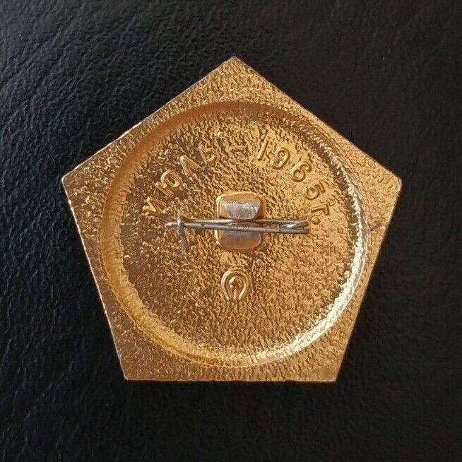 Space Proton Satellite Detecting Pin Badge Soviet Program Sputnik 1965 ...