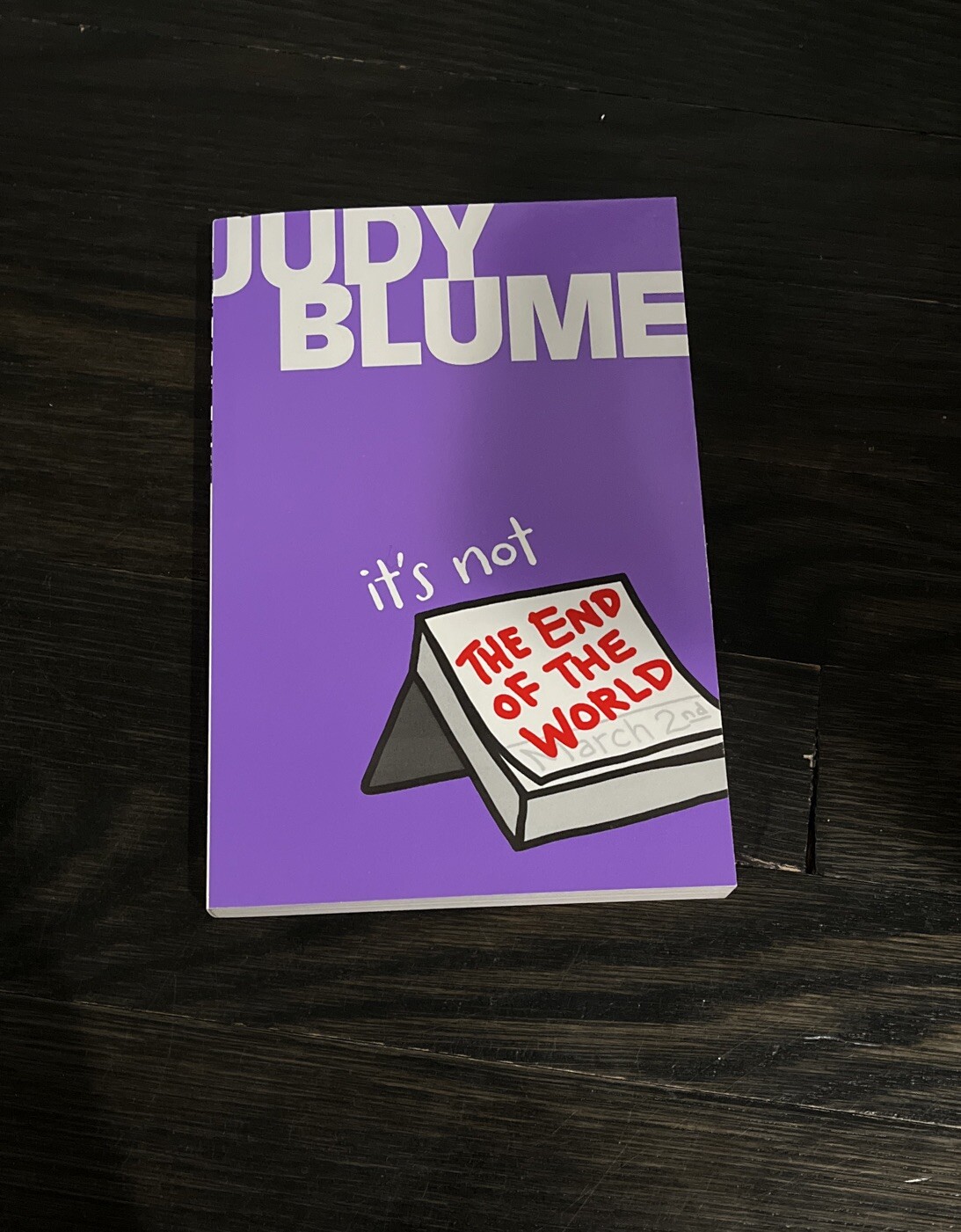 Judy Blume Book Series By Judy Blume, Paperback, books 1 to 8- Pretty ...