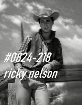 VINTAGE MALE PORTRAIT #0824-218 -'ricky nelson 1961' -free shipping in ...