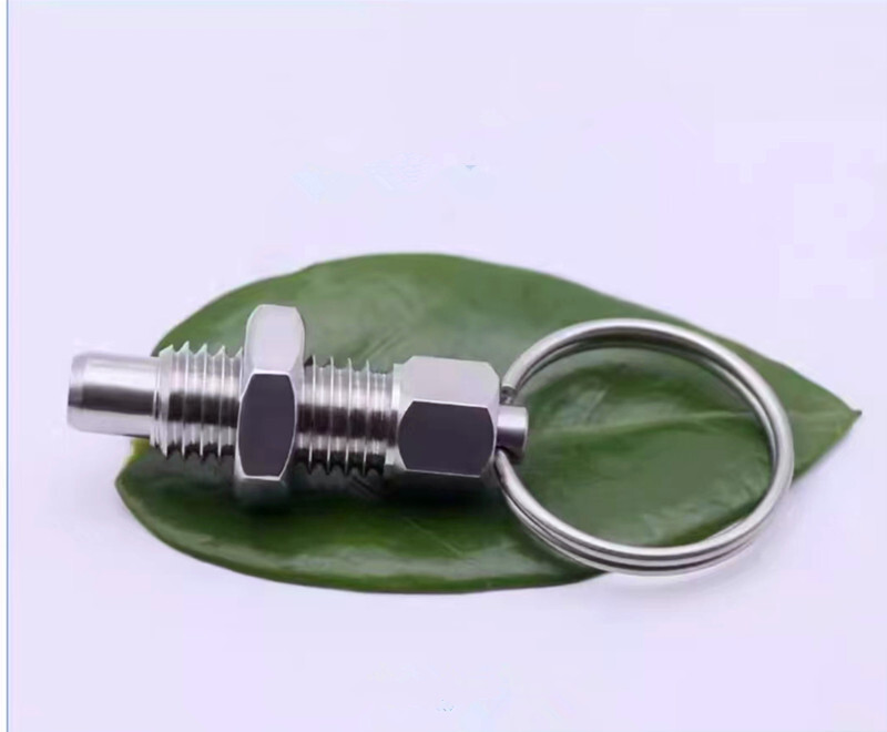 M6-M8-M10M12 Index Plunger With Ring Pull Spring Loaded Retractable ...