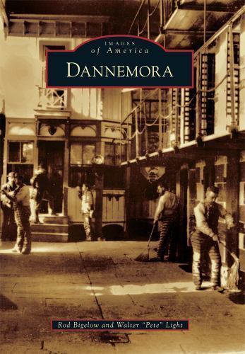 Dannemora by Rod Bigelow (2015, Trade Paperback) for sale online | eBay UK