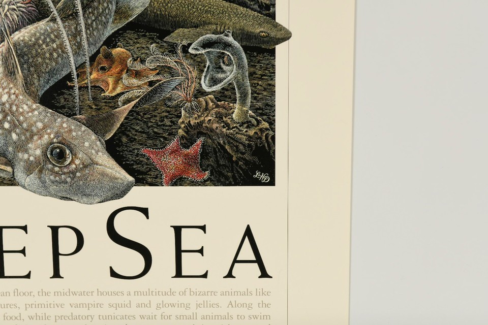 Vintage DEEP SEA Monterey Bay Aquarium Poster 1999 Larry W. Duke Artist ...