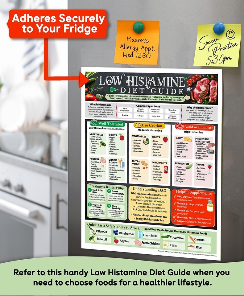 Low Histamine Diet Guide Magnet 8.5x11 Food Chart Histamine Intolerance ...
