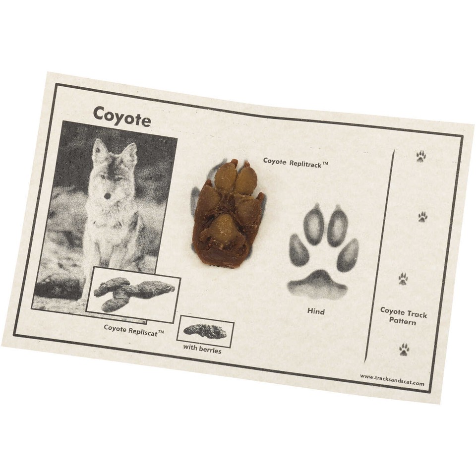 Forestry Suppliers Replitracks Hind Track Only Set 758182230721| eBay