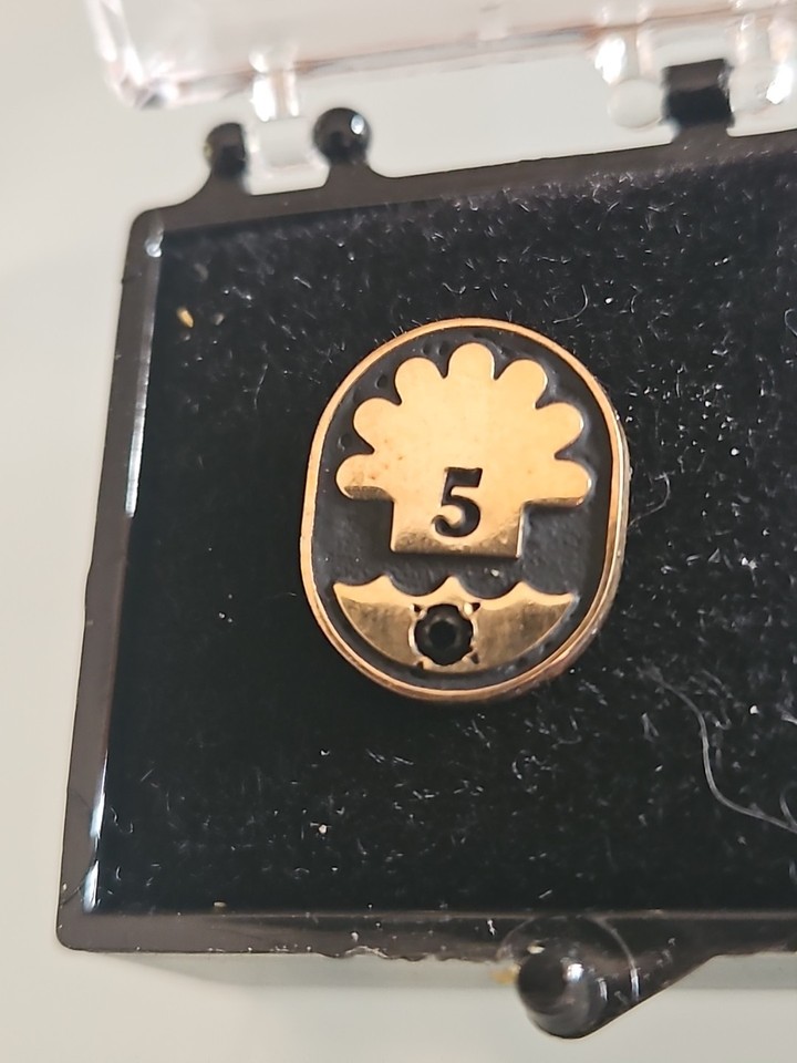 Walt Disney World Reedy Creek 5 Year Service Pin 10k Gold And Sapphire ...