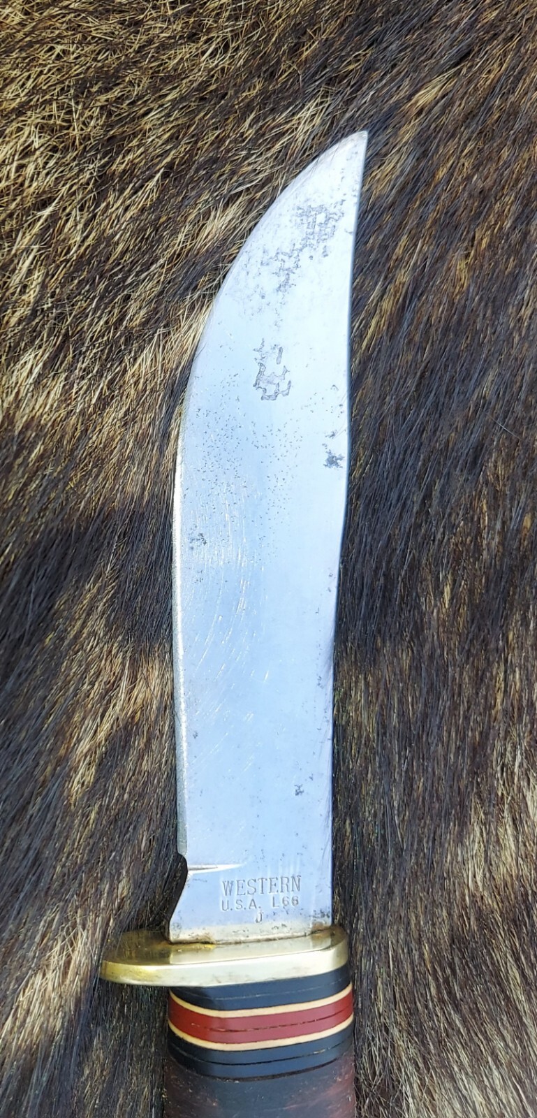 1986 RARE WESTERN L66 J USA Vtg SKINNING HUNTING KNIFE FIXED BLADE ...