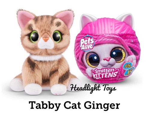Pets Alive Smitten Kitten Surprise Tabby Cat GINGER Interactive Plush Toy ZURU 193052054296 | eBay