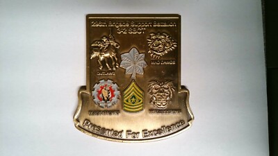 CHALLENGE COIN 296TH BRIGADE SUPPORT BATTALION MAD DAWGS OUTLAWS WITCH ...