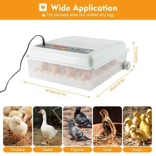 64 Eggs Incubator Automatic Turner Chicken Hatcher Incubators for ...