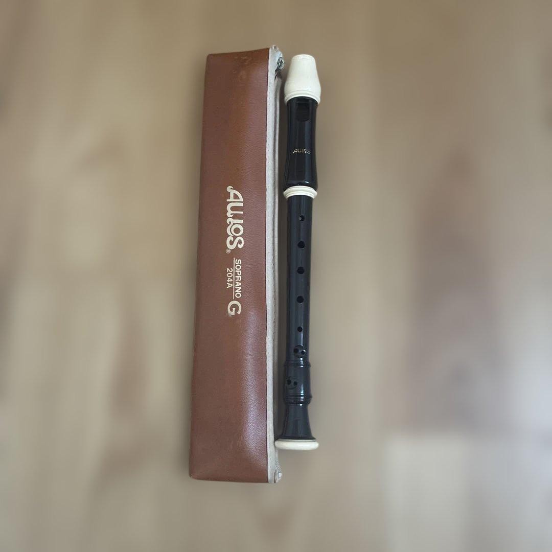 JK JS soprano recorder with case, used by students, school age OOB | eBay