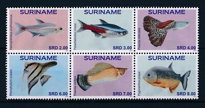 [SU2115] Suriname Surinam 2015 Fish MNH | eBay