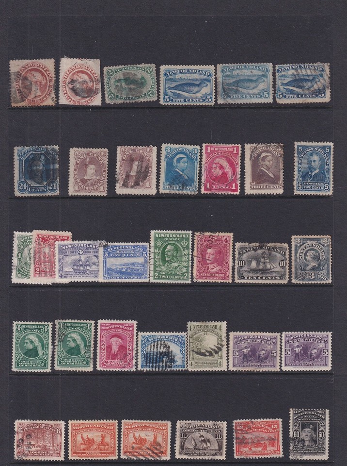 Newfoundland. Mint & used collection, on pages & stockcards. | eBay