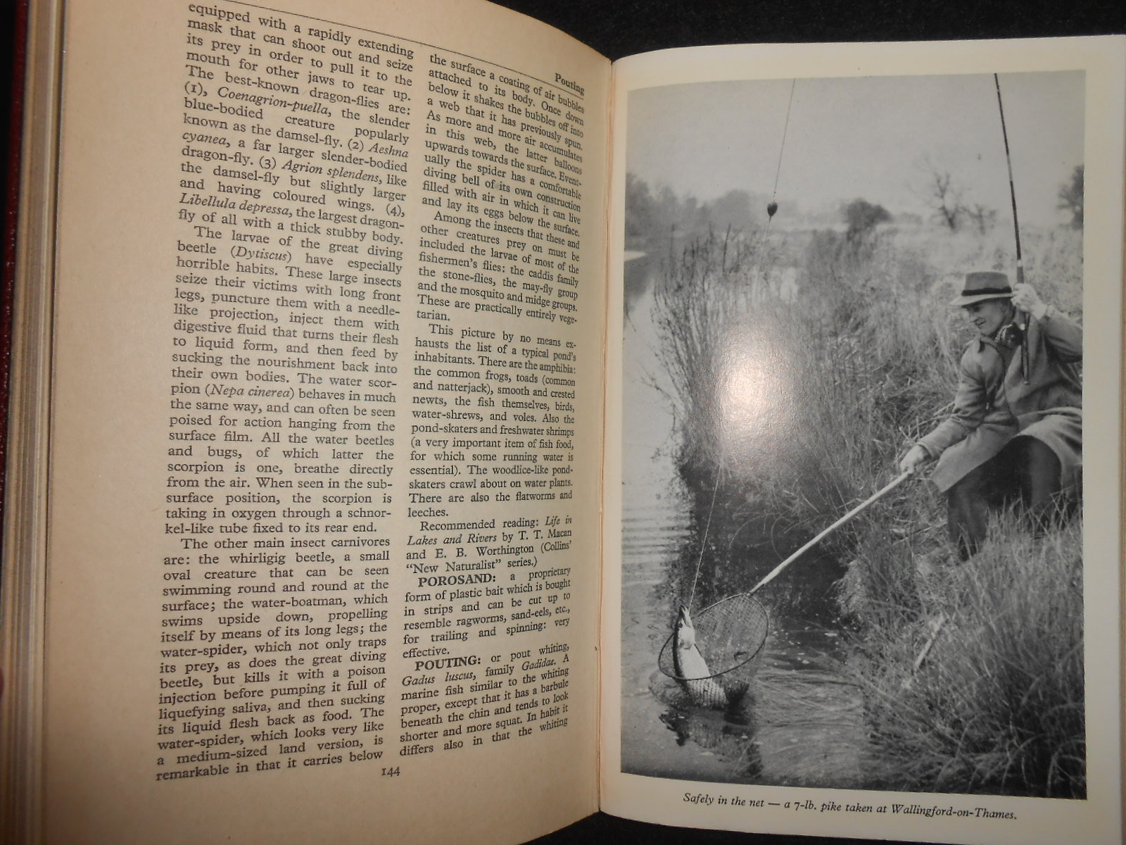The Angler's Encyclopedia - Colin Willock - 1960 - Vintage Fishing ...
