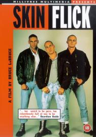 Skin Flick (DVD, 2003) for sale online | eBay