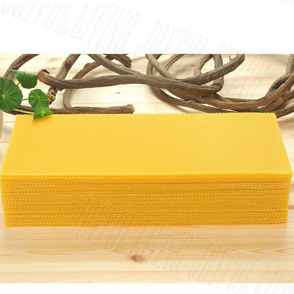 30Pcs Honeycomb Foundation Bee Hive Wax Frames Waxing Beekeeping ...