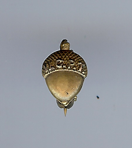 TINY VINTAGE 10K GOLD WCPT ACORN PIN BROOCH | eBay
