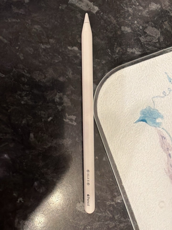 Genuine Apple Pencil (2nd Generation) White Excellent Condition with ...
