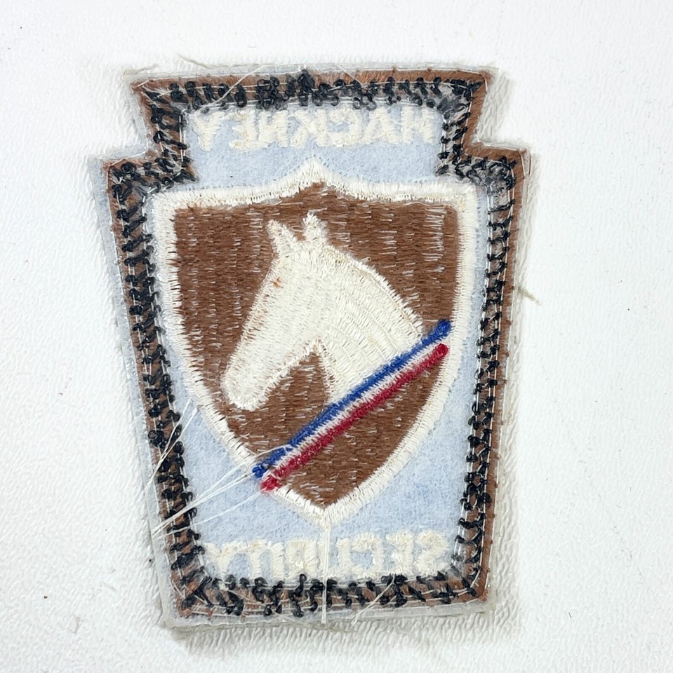 Hackney Security Patch 3"x2.5" | eBay