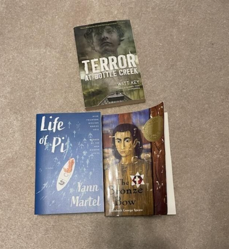 3 Teenage Books Terror at Bottle Creek,Life of Pi,The Bronze Arrow | eBay