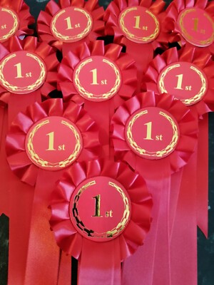 10 X 1 Tier Red 1st Place Rosettes made with quality single faced satin ...