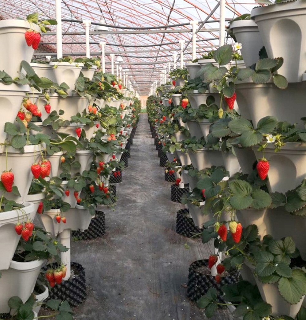 Hydroponic Strawberry Planters Home Hydroponic System Hydroponic