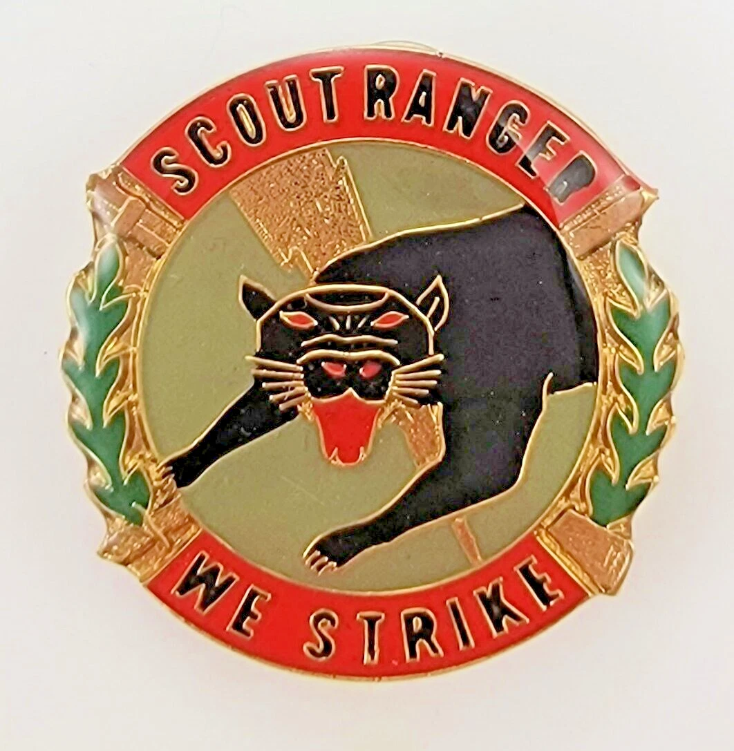 Boy Scout Of The Philippines Logo National Capital Area Council Boy