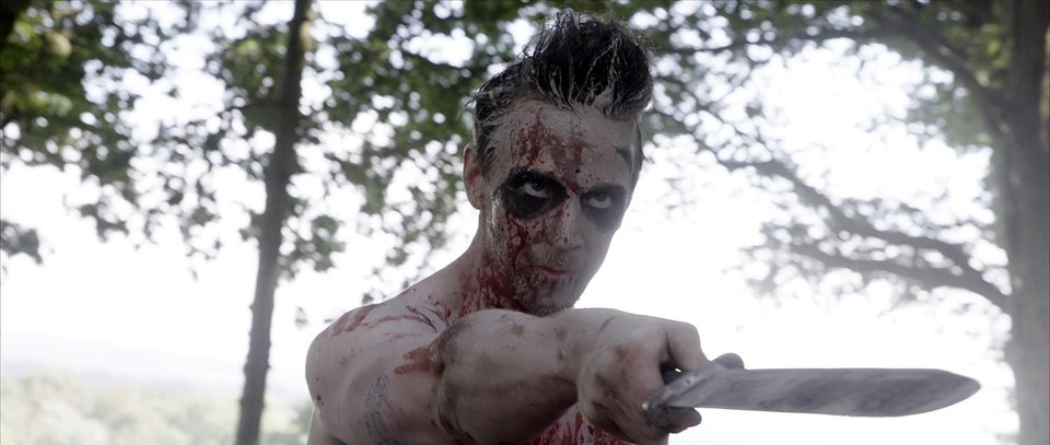 Viking War (Blu-ray) Lincoln Darcie Cosgrove Peter Toth Victor | eBay