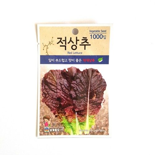 Korean Healthy Vegetable Lettuce, Sesame, Radish, Chives, Cirsium Seed ...