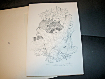 Bill Neat Raccoon Pencil Drawing Litho 5" x 7" (R1) | eBay