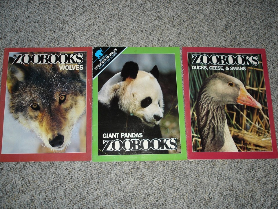 lot (11) Vintage ZooBooks Magazines 1989 Wolves, Pandas, Zebras, Lions ...