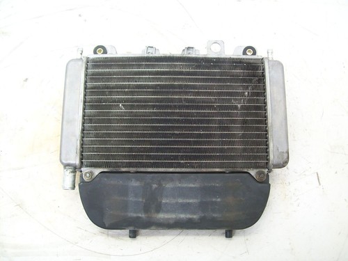 WATER RADIATOR FOR PIAGGIO X9 180 FROM 2001 (e38489) | eBay