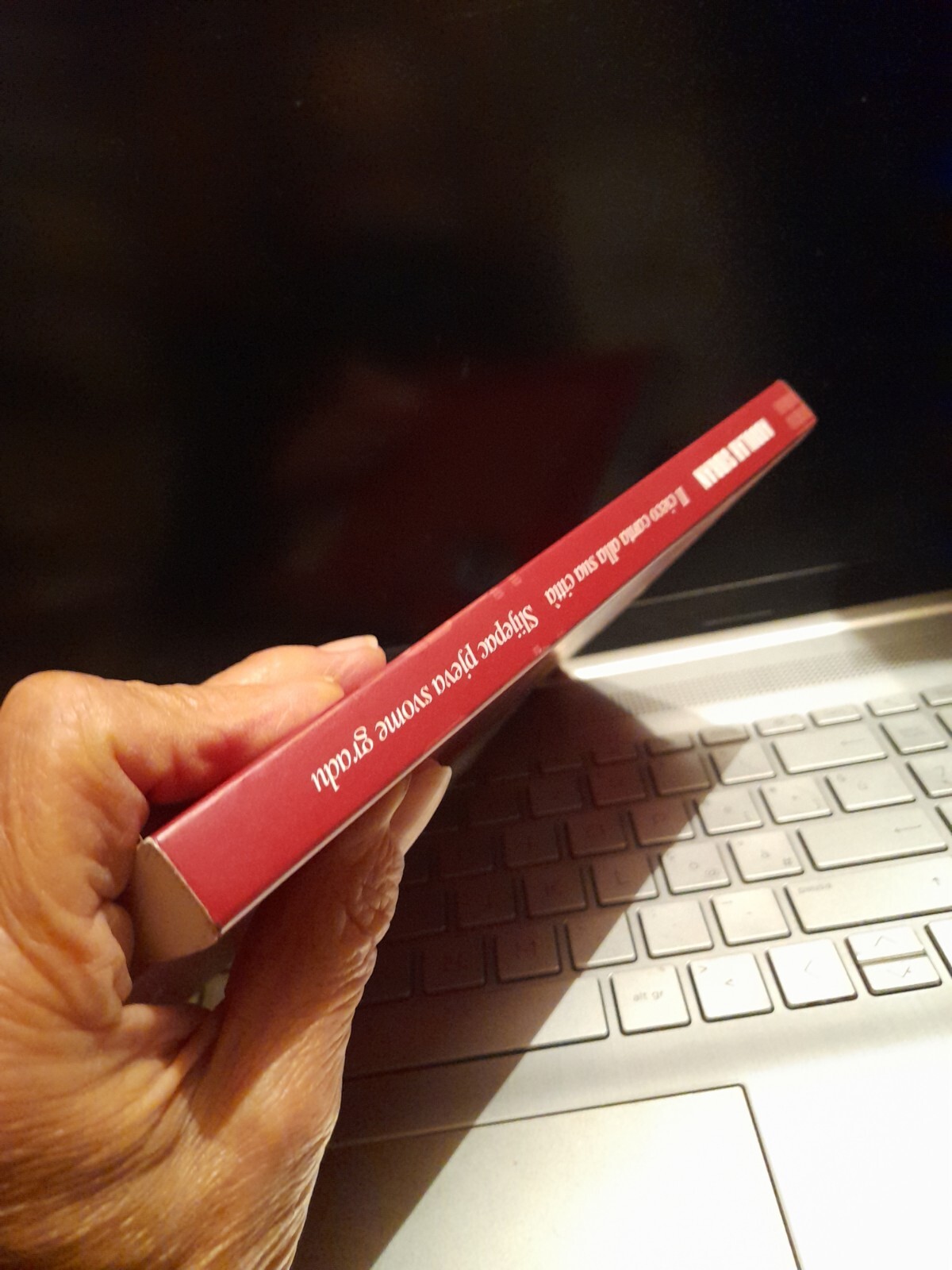 Il Cieco Canta Alla Sua Città Abdulàh Sidran Slijepac Pjeva Svome Gradu ...