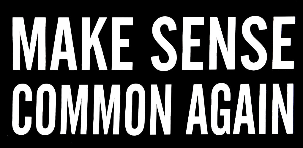 Wholesale Lot of 6 Make Sense Common Again Black & White Decal Bumper ...
