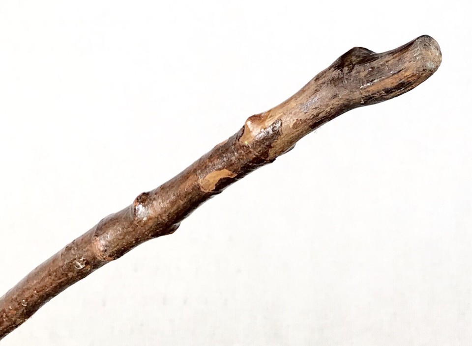 Vintage Antique Primitive Knobby Hardwood Shaft Knob Walking Stick Cane ...